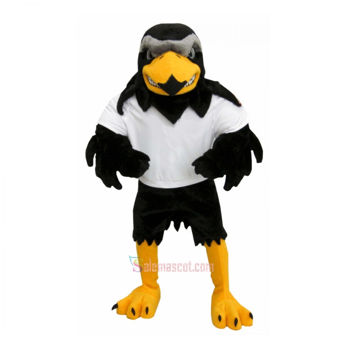 College Ferocious Falcon Mascot Costume Cheap and Free Shipping
