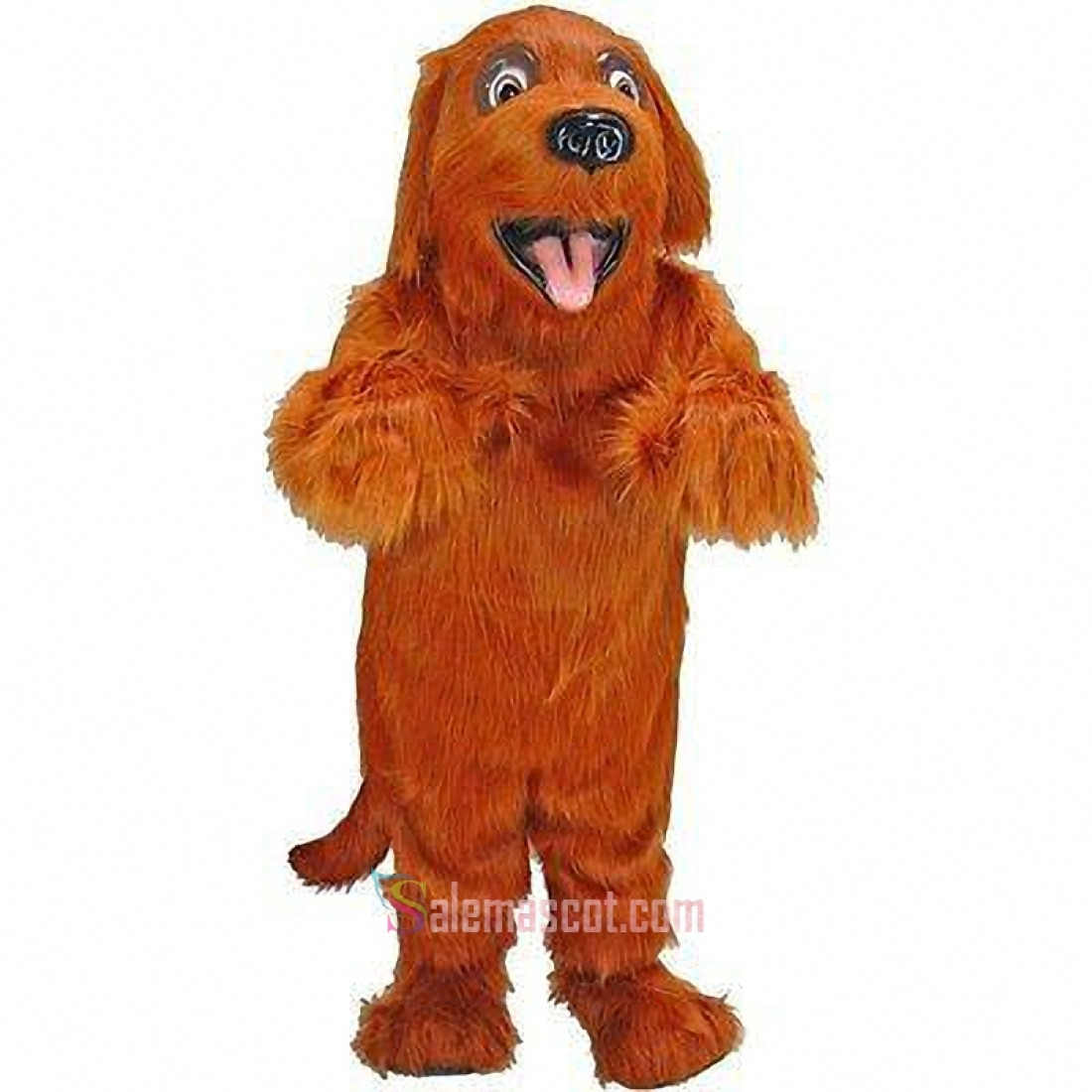 Irish Setter Mascot Costume