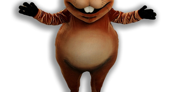 Lovely Beaver Mascot Costume With Most Competitive Price