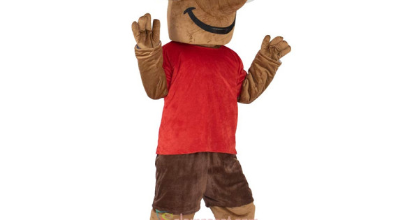 Pismire Ant Emmet Cartoon Mascot Costume