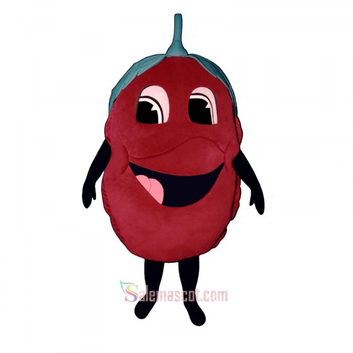 Raspberry (Bodysuit not included) Mascot Costume Raspberry (Bodysuit ...
