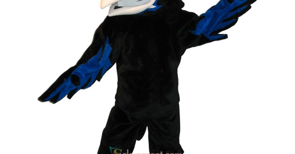 Top-Quality Raven Mascot Costumes on Offer