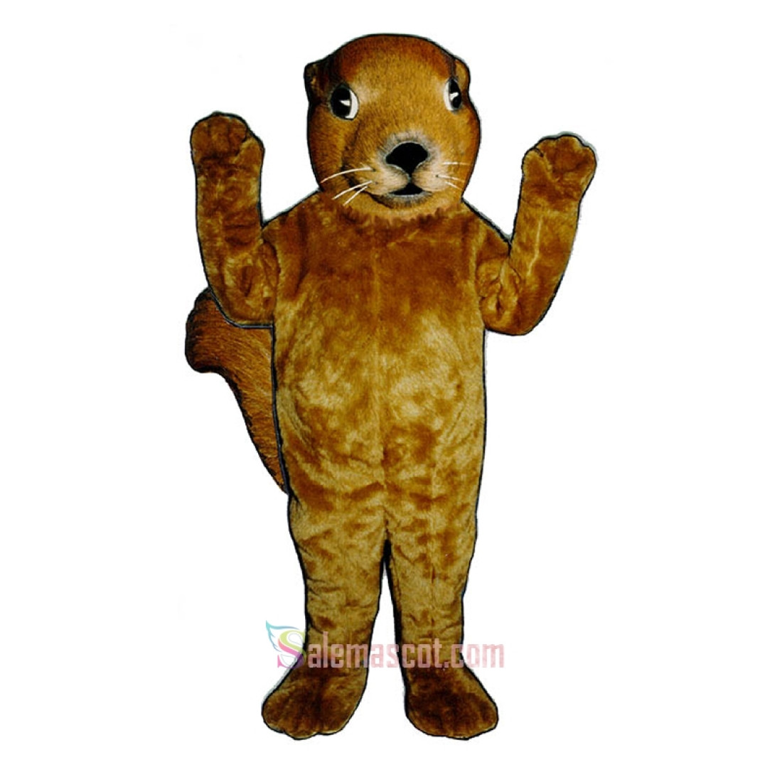 Realistic Squirrel Mascot Costume Realistic Squirrel Mascot