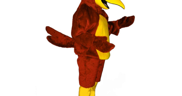 Road Runner with Shoes Mascot Costume Road Runner with Shoes Mascot