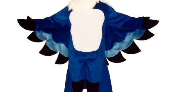 Incredible Other Birds Mascot Costumes for Every Occasion