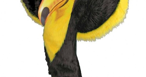 Toucan Mascot Costume
